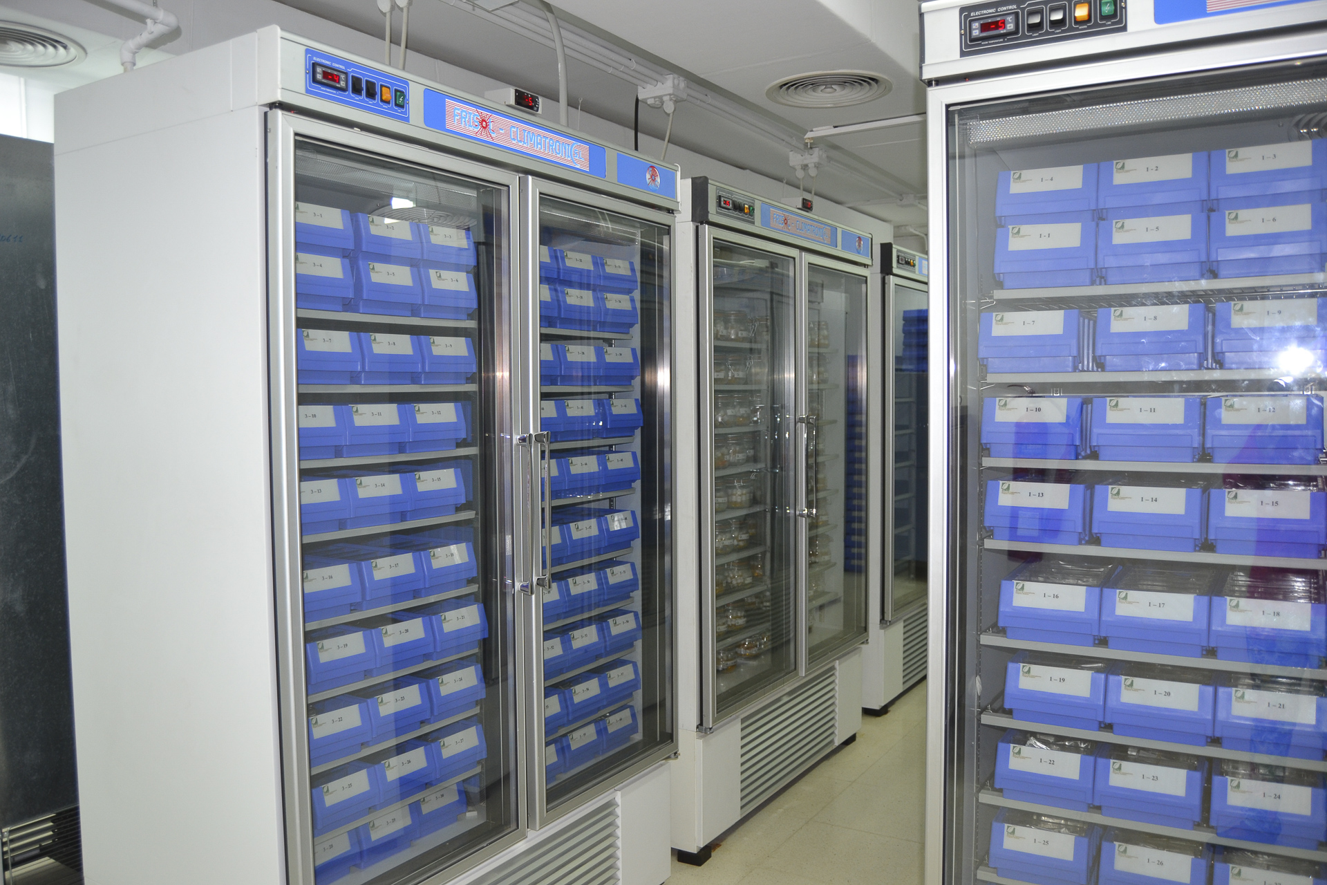 Banco de Germoplasma - Jardín Botánico de Córdoba