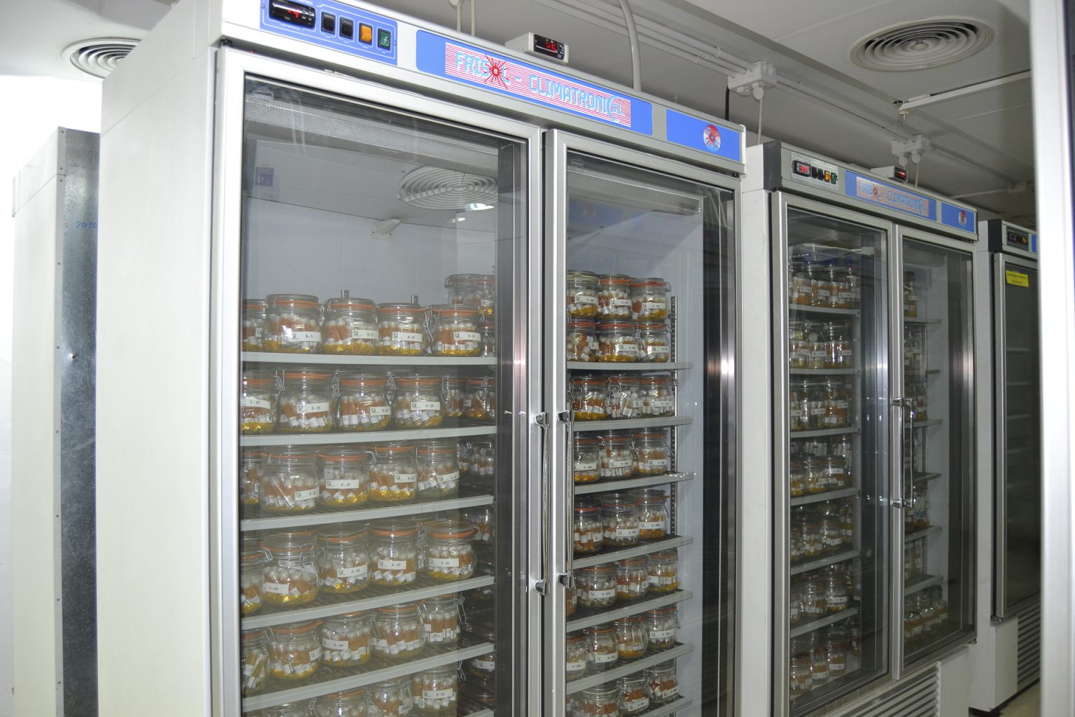 Banco de Germoplasma - Jardín Botánico de Córdoba